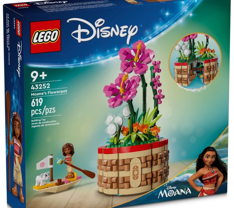 LEGO Disney Moana 43252 Moana's Flowerpot Summer June 2024 Release Date ...