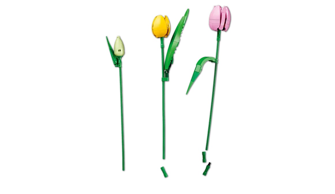 Botanical Flower sets are always popular among adults. #11501 Tulip ...