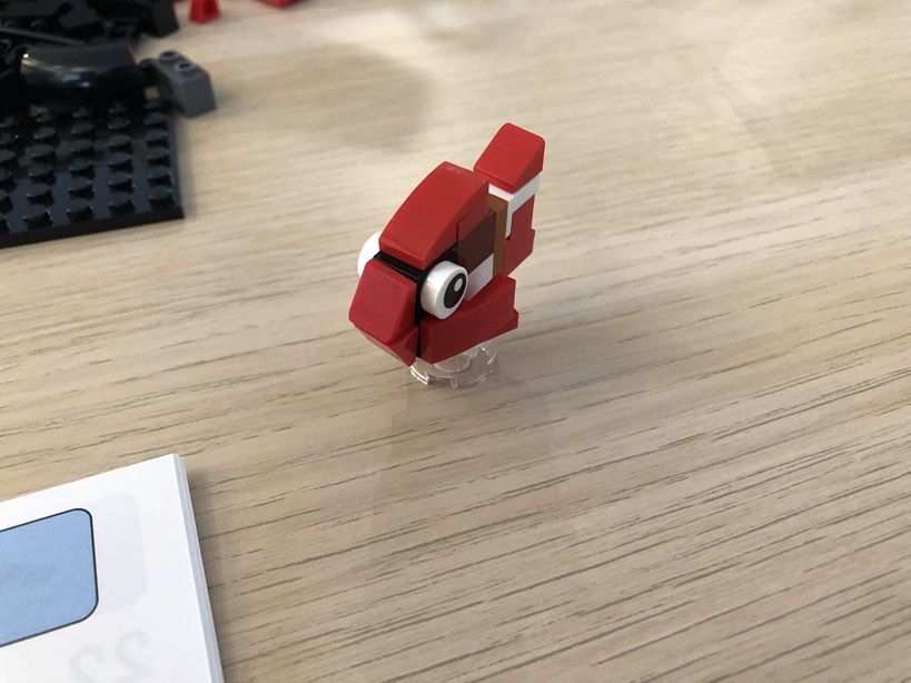 You then proceed to build the filter and you put the fish inside.