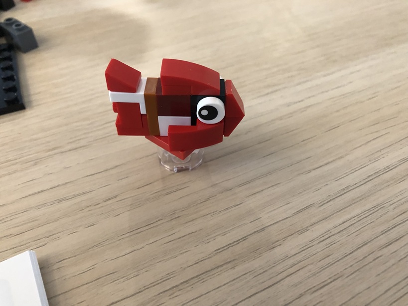 Here’s another look at the fish at a different angle.