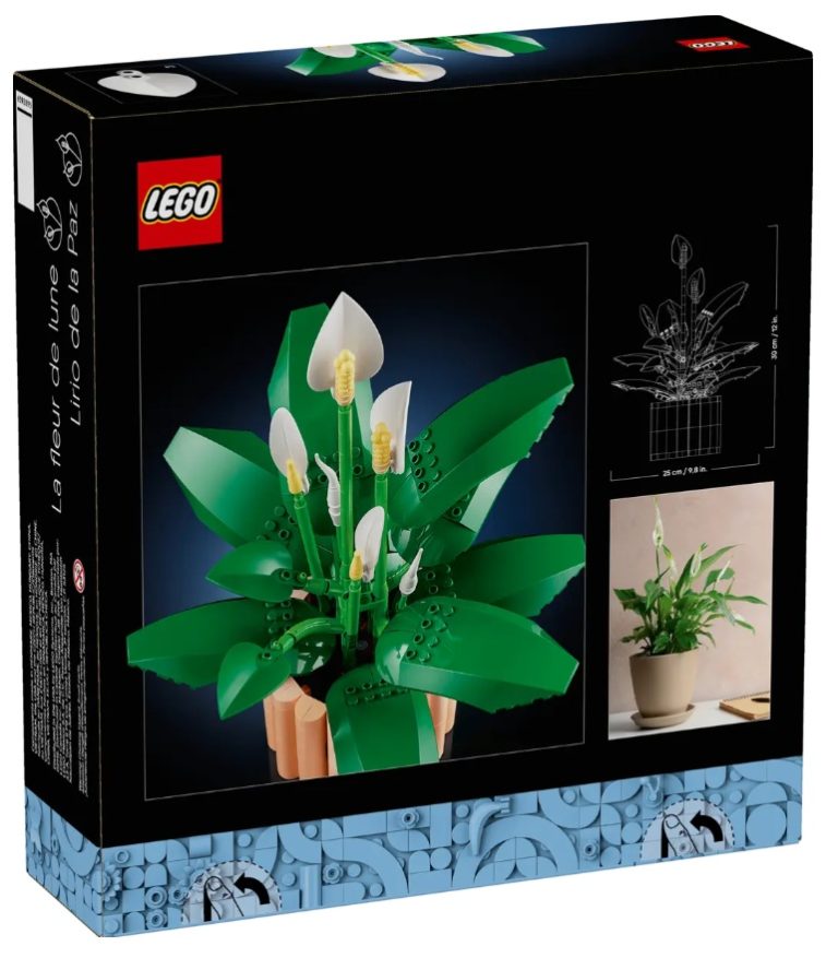 What are your thoughts on the three January 2026 LEGO Botanical ...