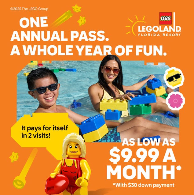 Support Toy N Bricks by making your purchases through our LEGOLAND ...